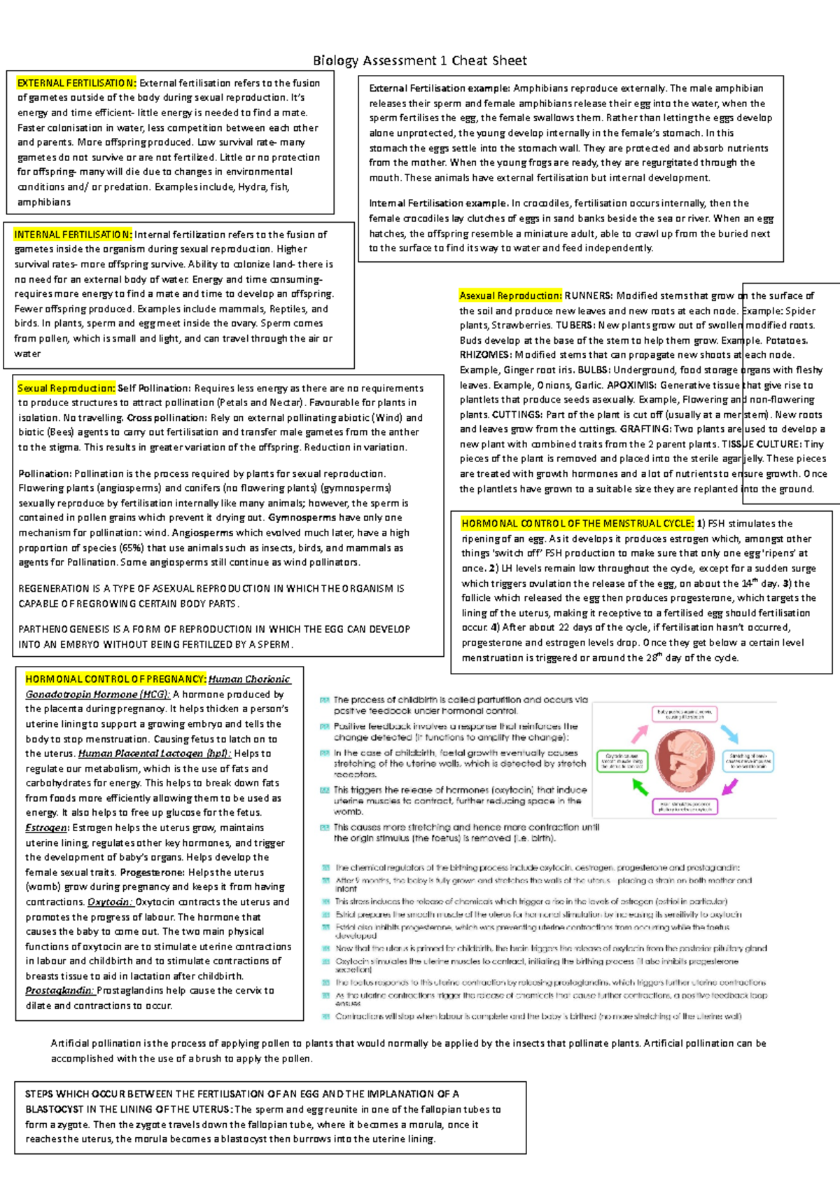 Biology Assessment 1 Cheat Sheet - Biology Assessment 1 Cheat Sheet ...