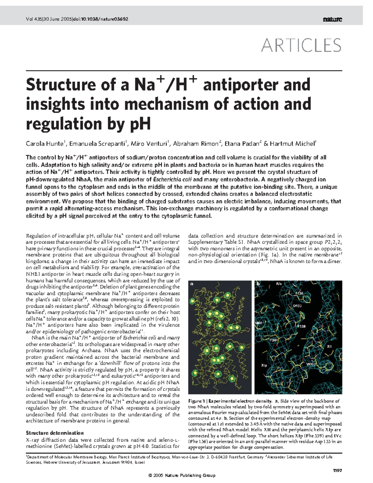 Antiporter sodio -protón - Structure of a Na 1 /H 1 antiporter and ...