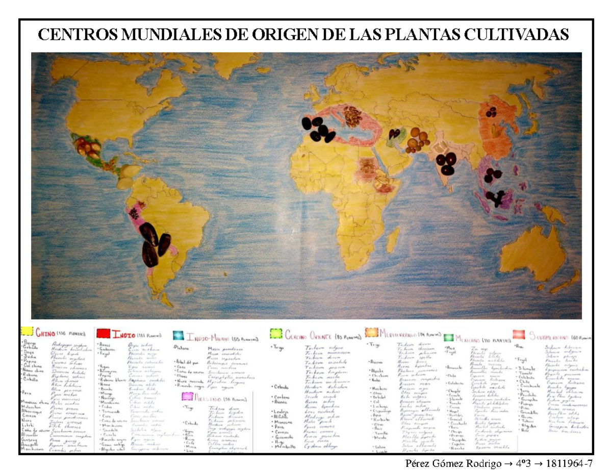 Practica 3. Centros Mundiales. Perez Gomez Rodrigo - etnobotanica - CENTROS MUNDIALES DE ORIGEN ...