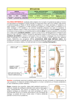 Appunti Topografica - COLLO I confini del collo coincidono con la linea ...