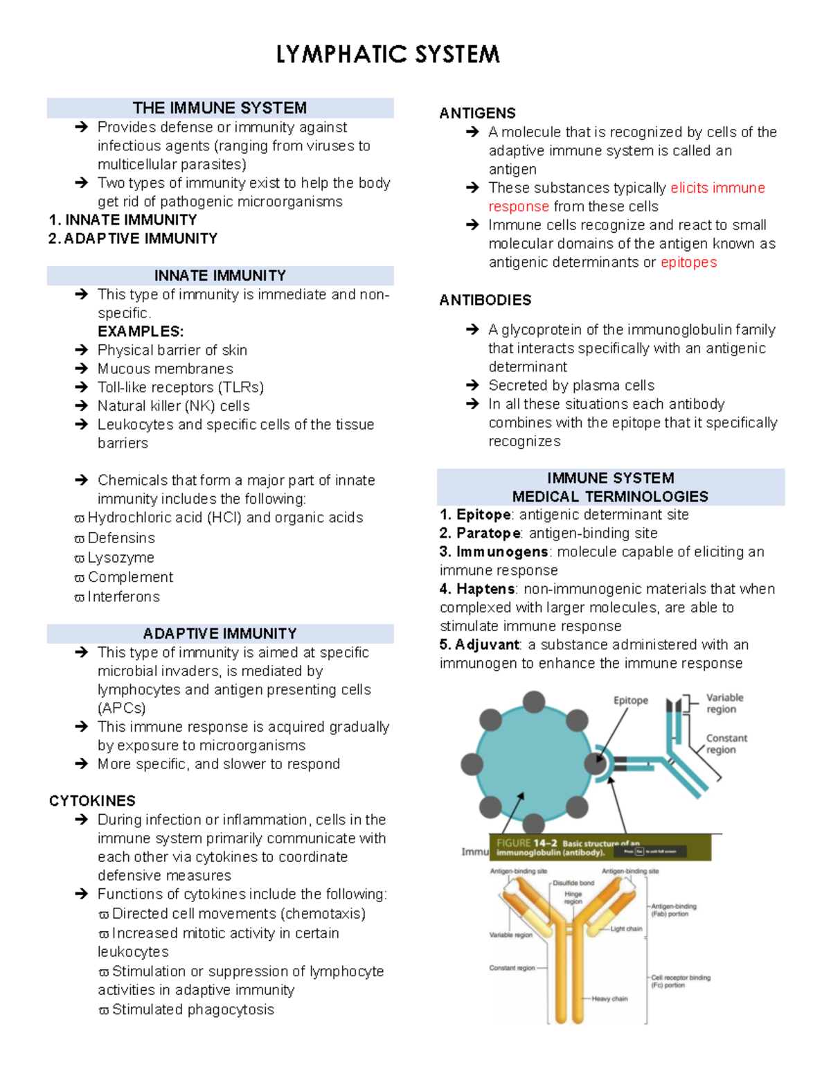 Lymphatic System and Respi Transes - THE IMMUNE SYSTEM Provides defense ...