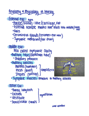 Exam 2 study guide.ana - Format: 27 questions 17 Multiple choices 6 (29 ...