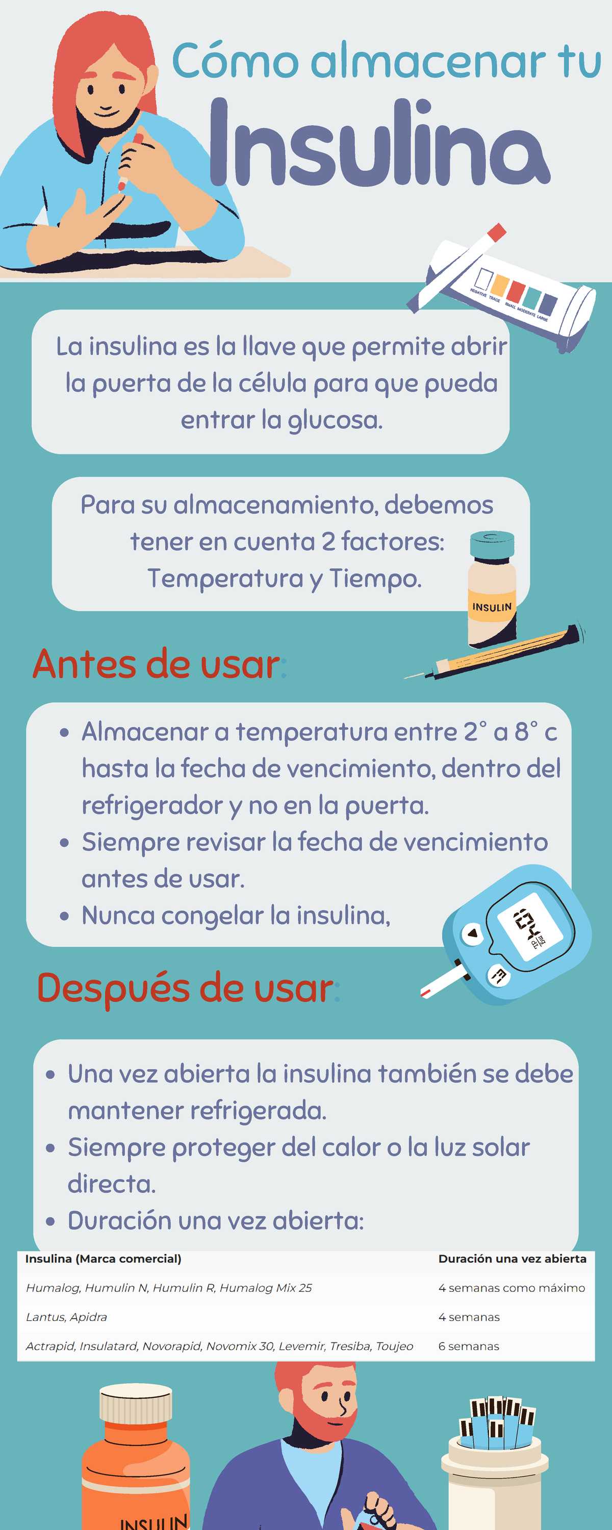 Guía practica de almacenamiento insulina - Cómo almacenar tu Insulina ...