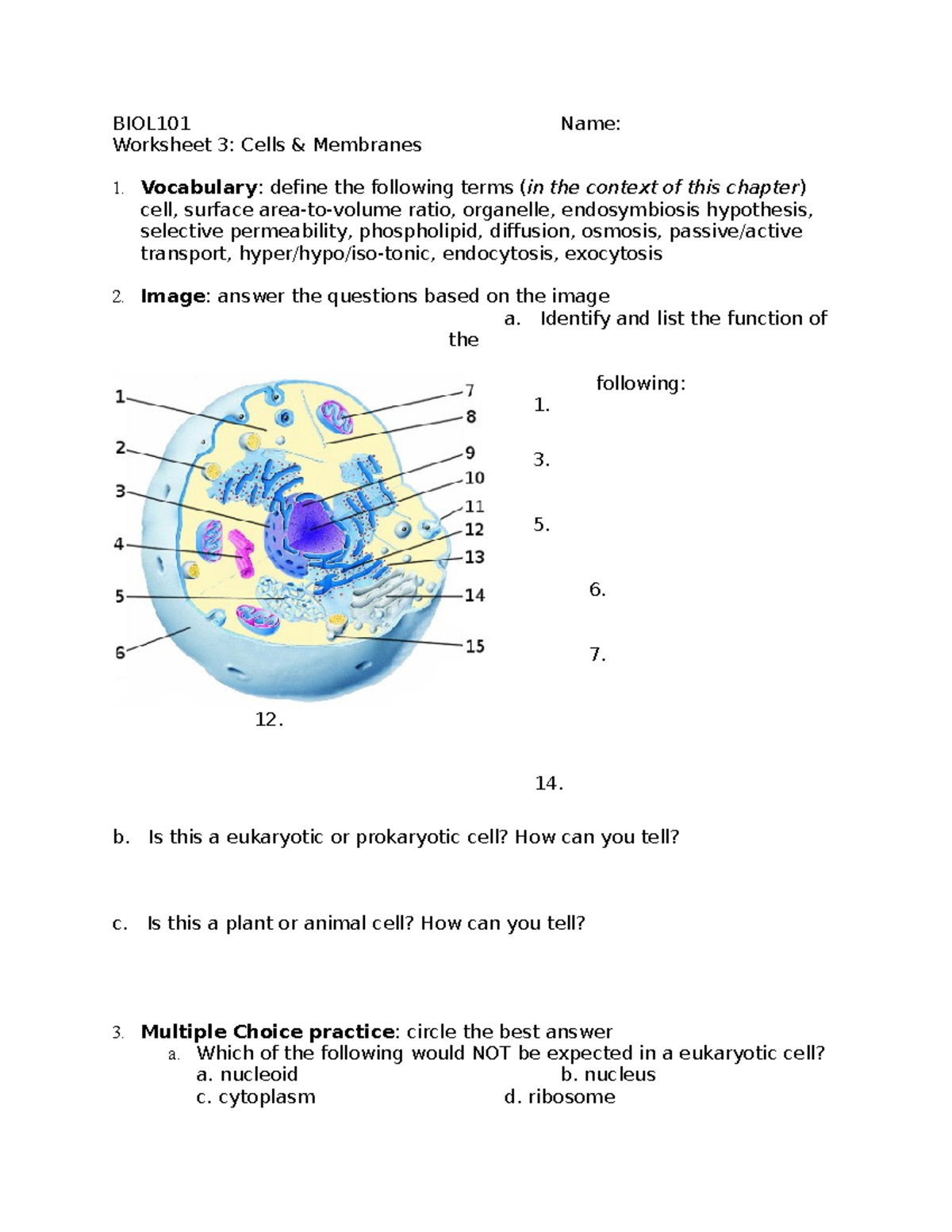 101 WS3 sp23-1 - 101 WS3 sp23-1 Worksheet BIO 101 - BIOL101 Name ...