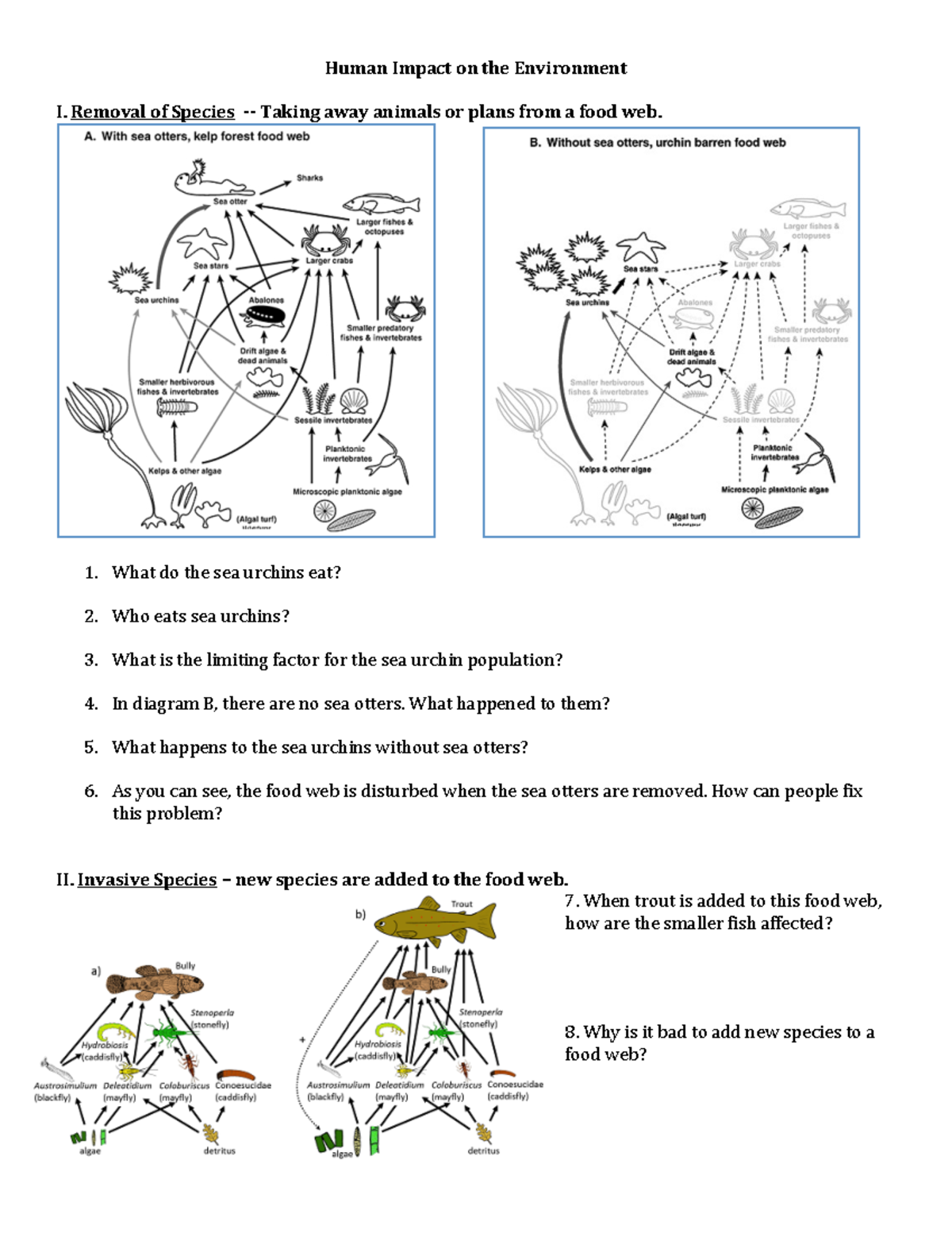 Ecology Human Impactonthe Food Web - Human Impact on the Environment I ...