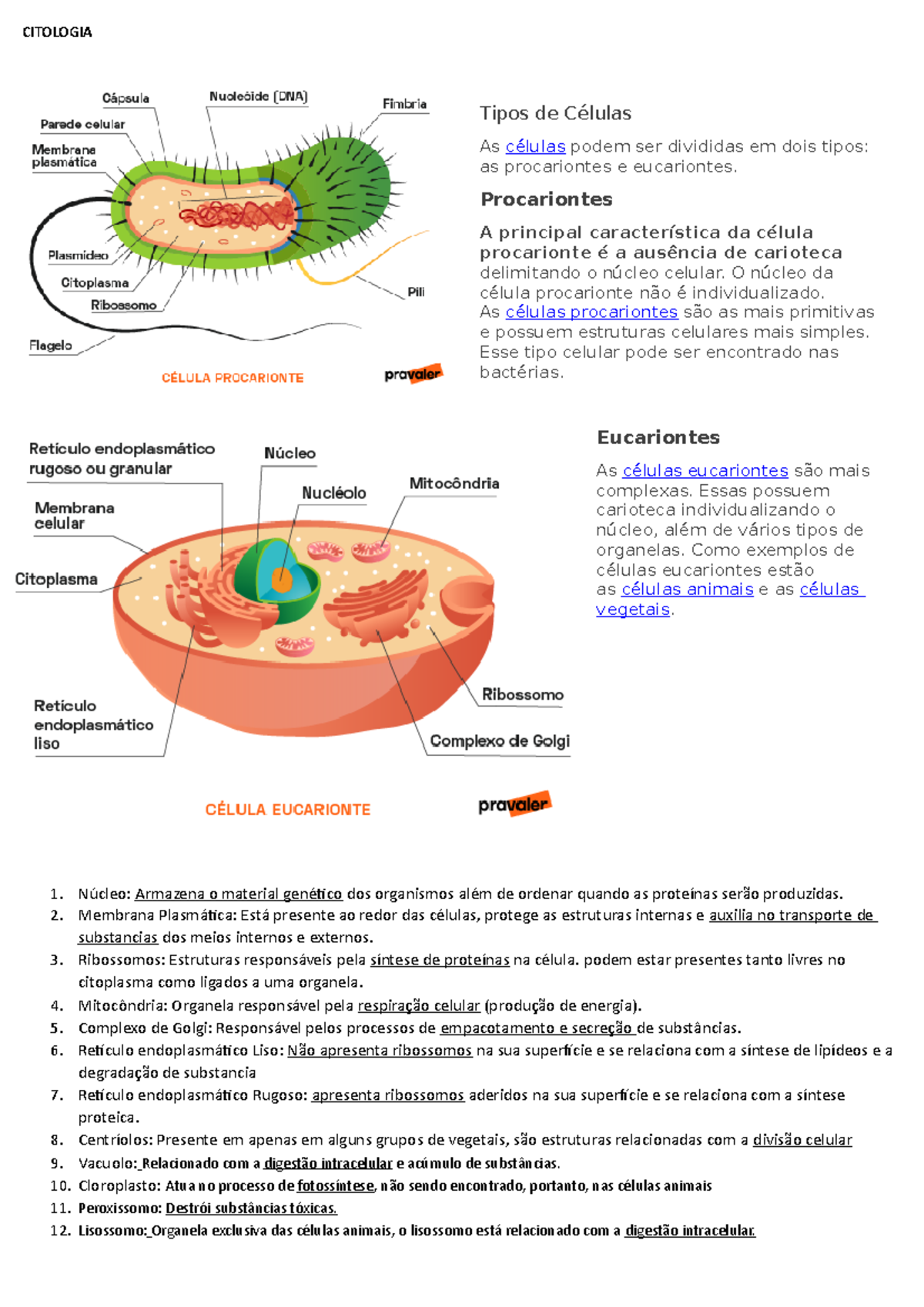 Citologia - CITOLOGIA ####### Tipos de Células As células podem ser ...