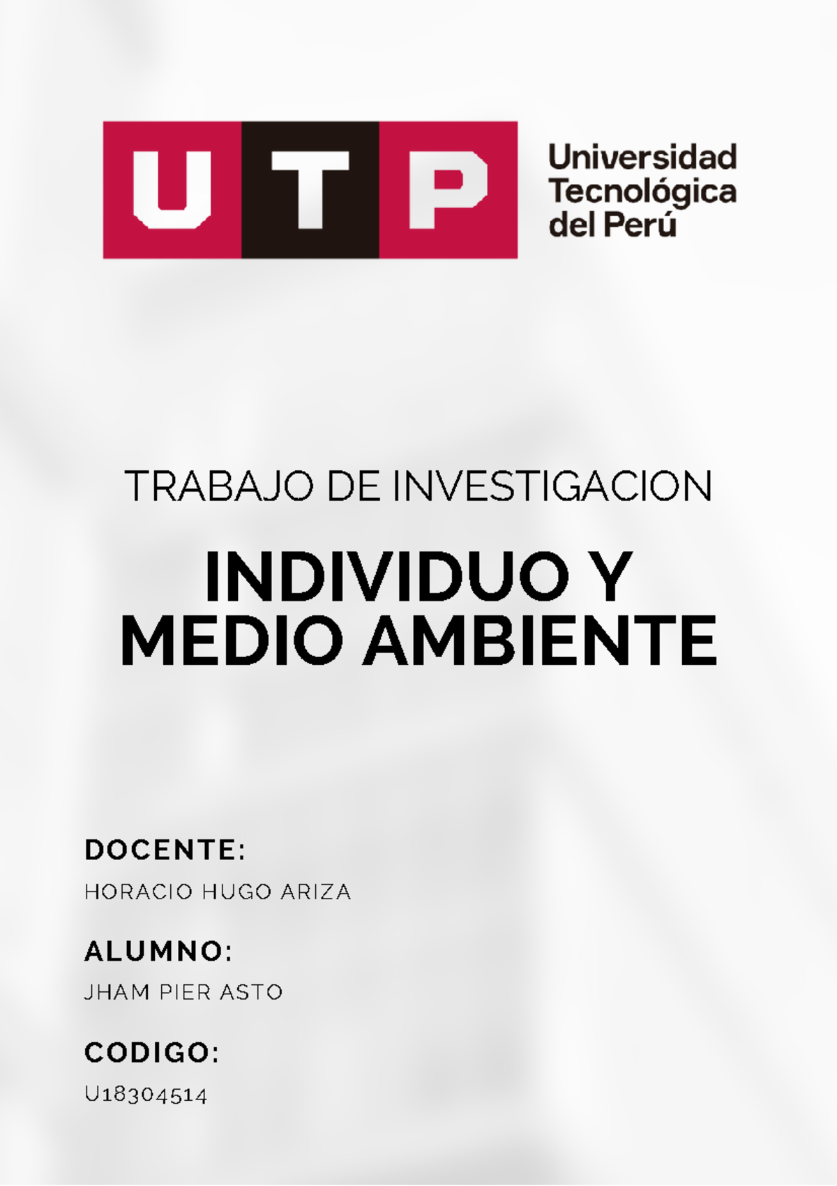 Jhampier Asto TS10 - Trabajo de ayuda - individuo y medio ambiente ...