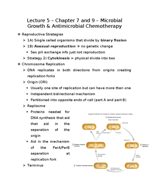 Note Taking Study Guide with Answers - Module 1: Providing Safe Food ...