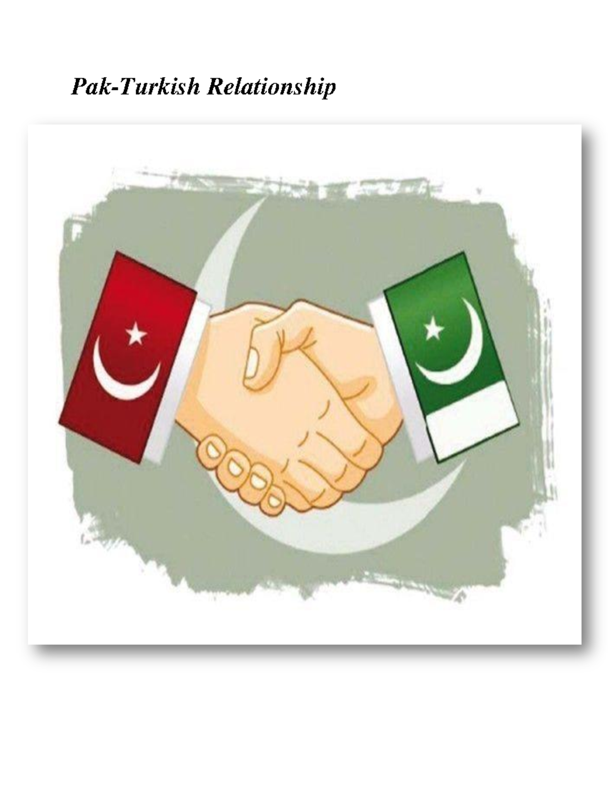 Pakistan-Turkey-Report - Pak-Turkish Relationship Executive Summary ...