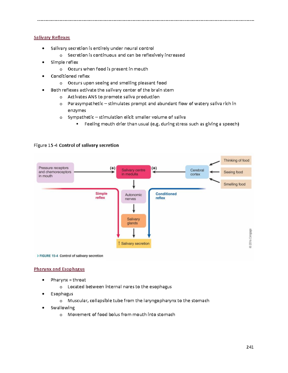 Human Physiology II Notes - Part 13 - Salivary Reflexes Salivary ...
