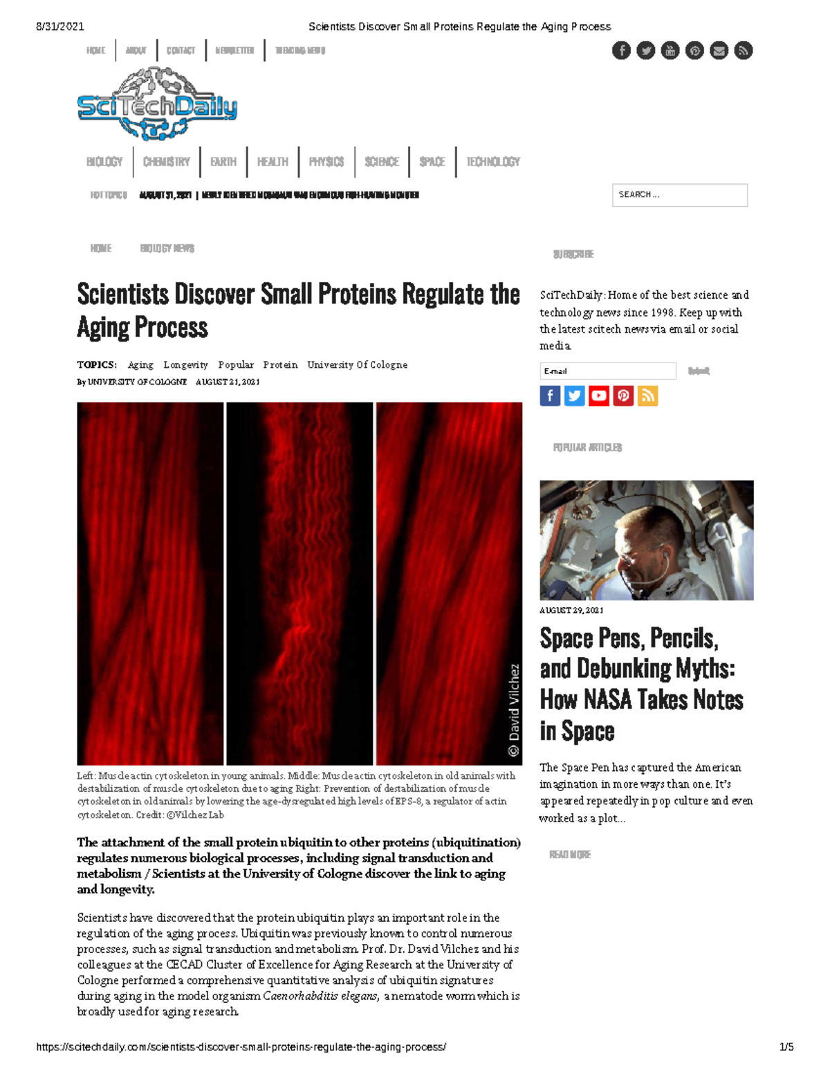 Scientists Discover Small Proteins Regulate the Aging Process - EASC ...