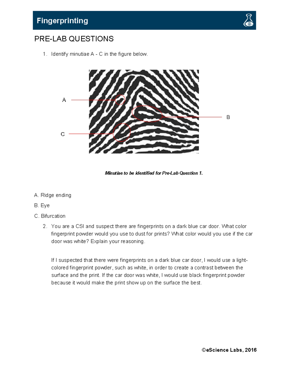 Fingerprinting Lab Questions - PRE-LAB QUESTIONS 1. Identify minutiae A ...