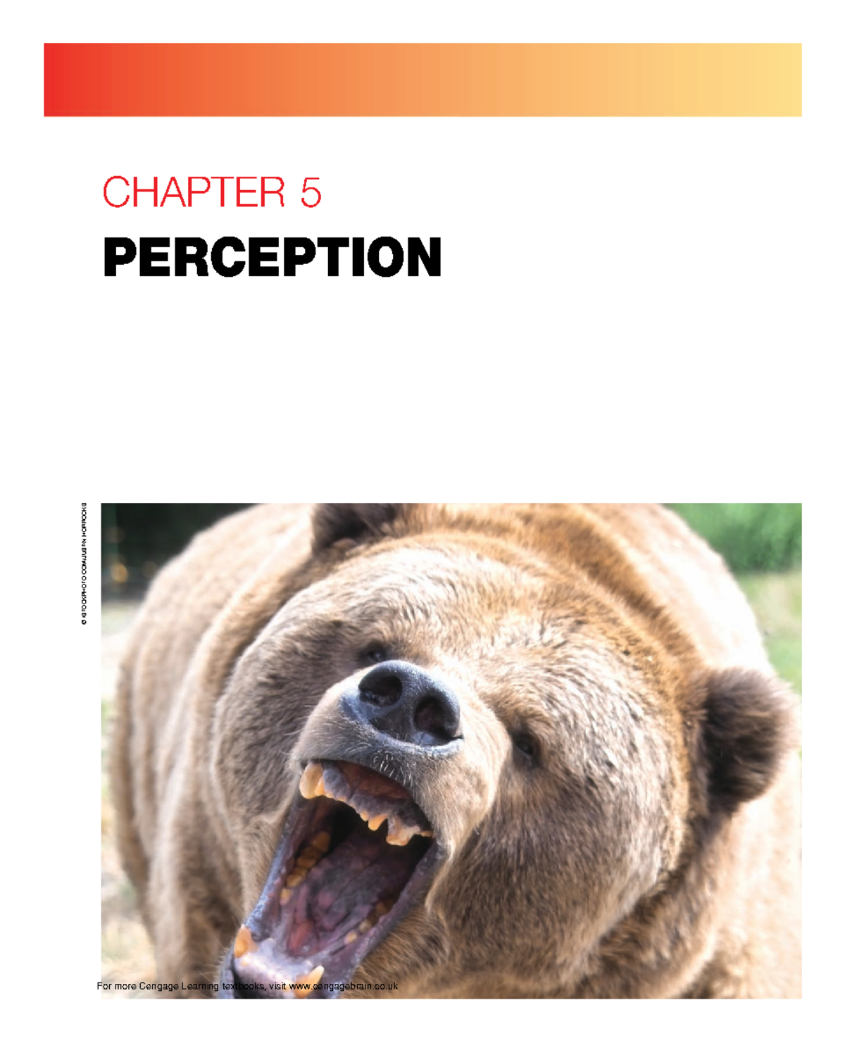 Chapter 5 - CHAPTER 5 PERCEPTION © ISTOCKPHOTO/JUSTIN HORROCKS O n a ...