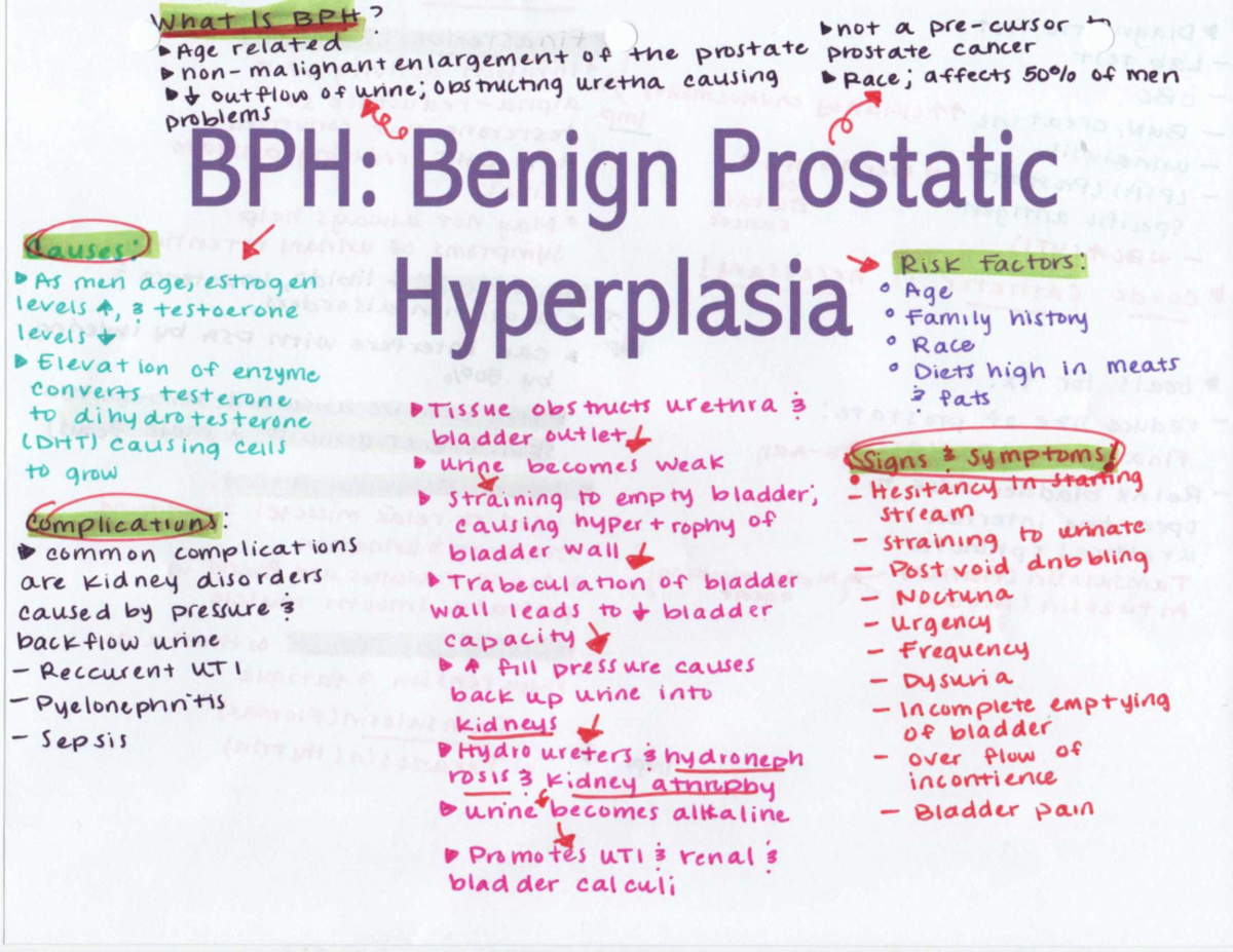 Nur 180 bhp - BPH Notes - NUR 180 - Studocu