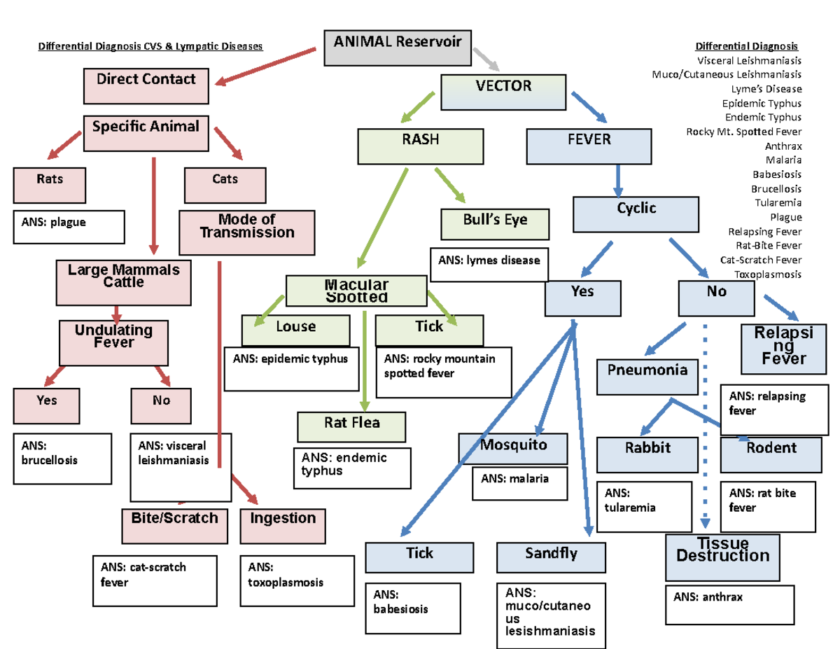 Ch 23 CVS & Lymph Diff Diagnosis 2021-22 - Differential Diagnosis CVS ...