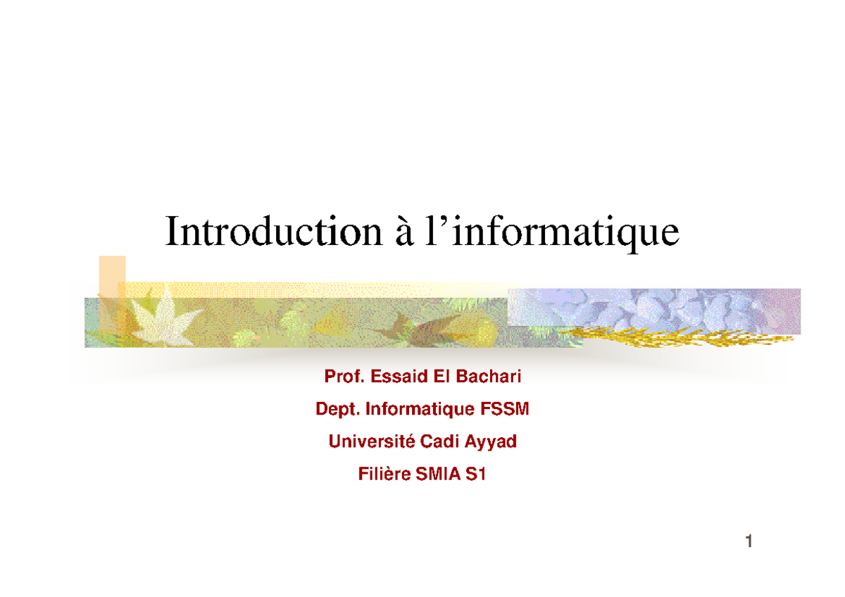 Chapitre 2 - Cours d'Informatique SMIA s1 par Prf. Essaid El Bachari - Introduction à ...