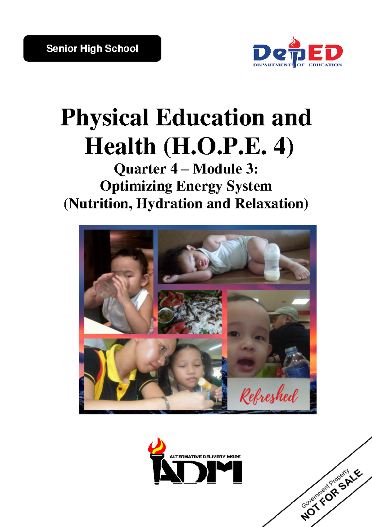 HOPE 4 Q4 W3 Mod3 Optimizing Energy System - Physical Education and ...