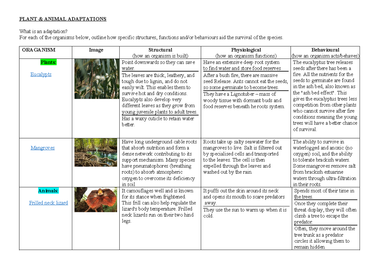 Adaptations Plant and Animals - PLANT & ANIMAL ADAPTATIONS What is an ...