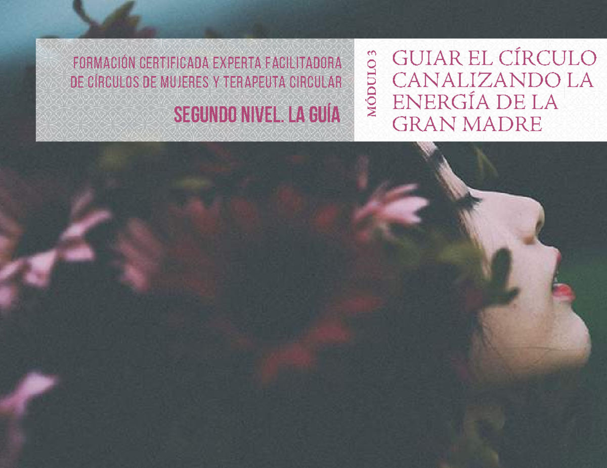 C2 modulo 3 01 - Dóciles - Normas de Información Financiera (NIF) 2019 ...