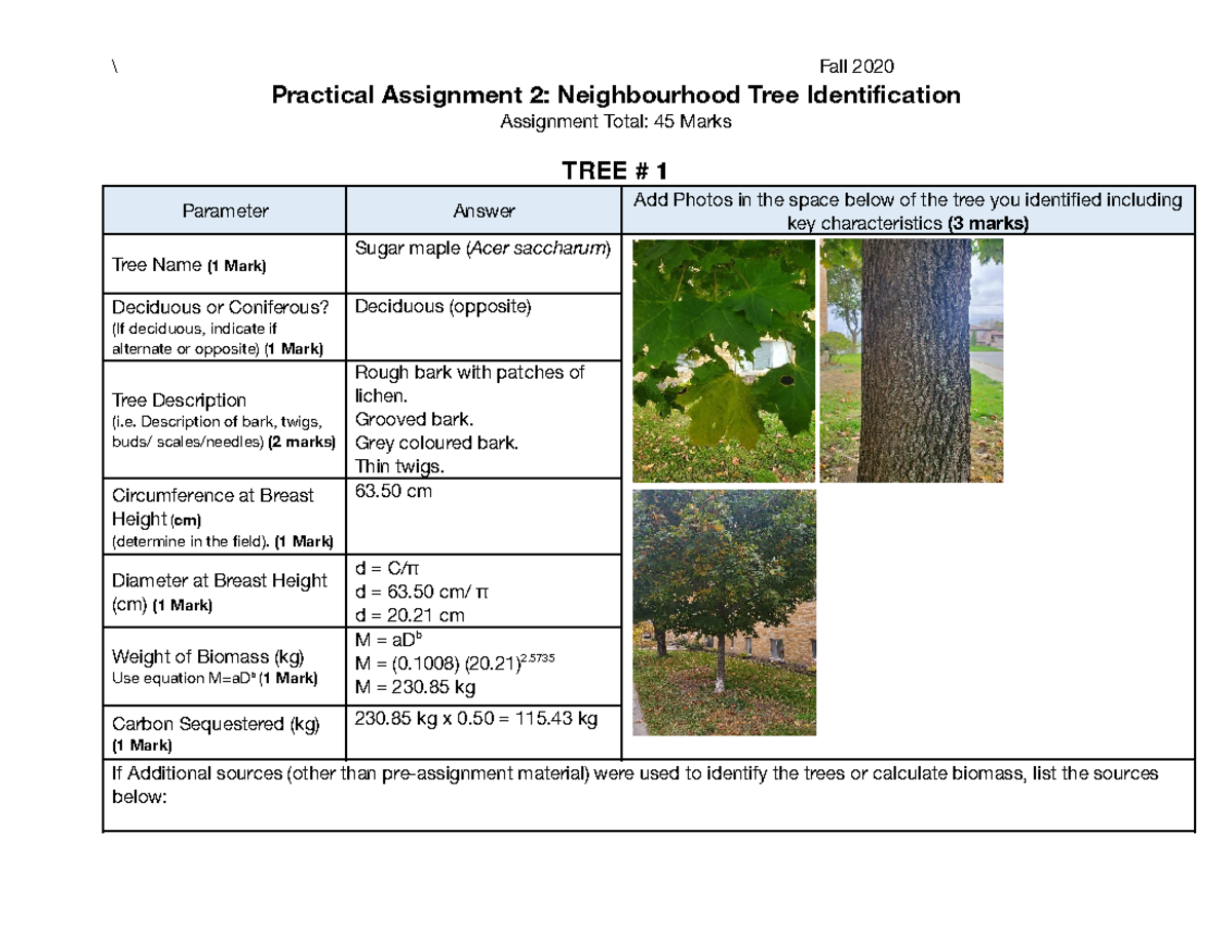 Practical Assignment 2 - Neighbourhood Tree ID (1) - \ Fall 2020 ...