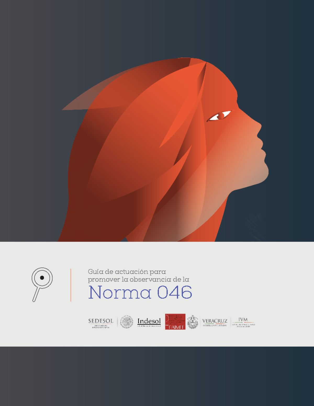 Guia NOM 046 - Guia NOM 046 - Guía de actuación para promover la observancia de la Norma 046 ...