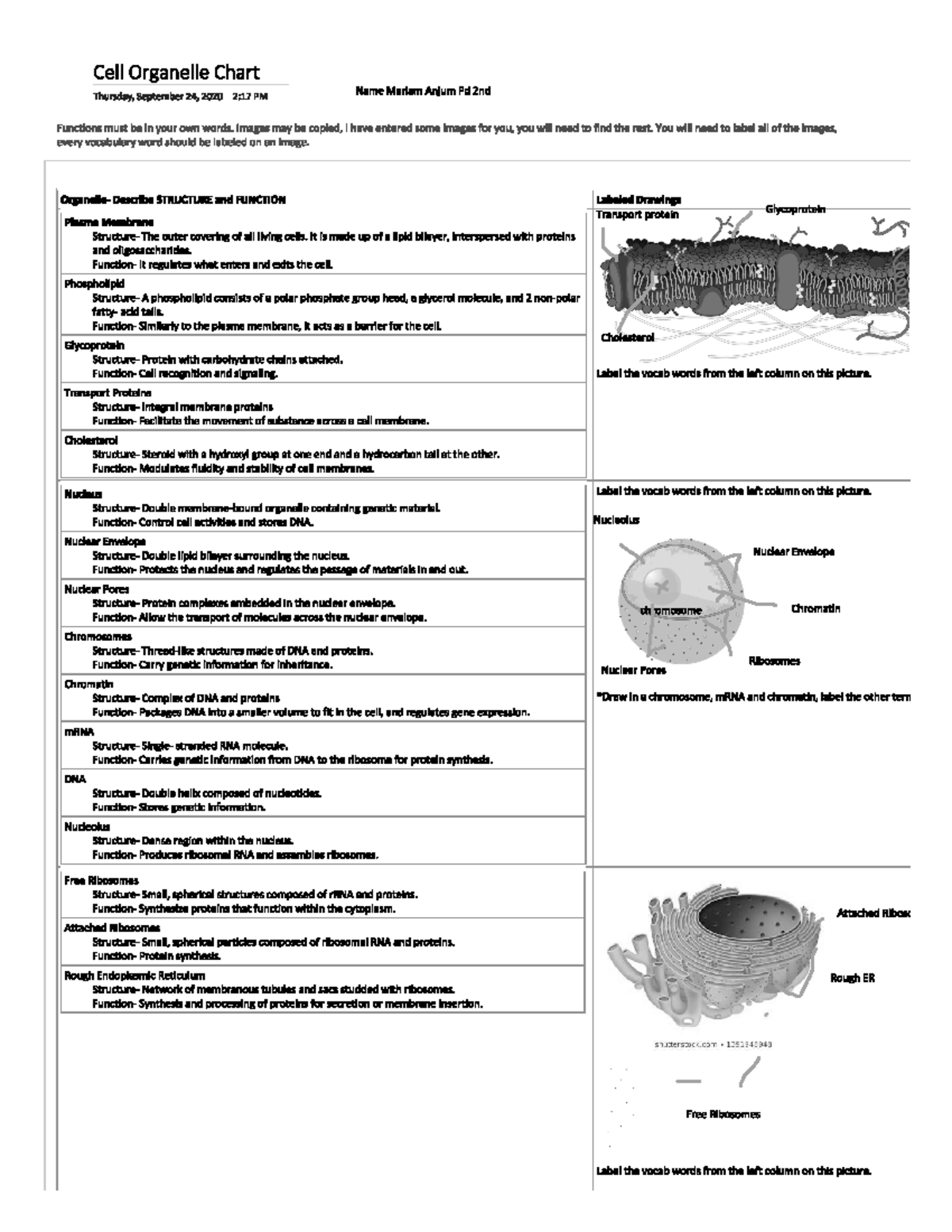 Cell Organelle Chart - it was an assignment - Cell Organelle Chart Name ...
