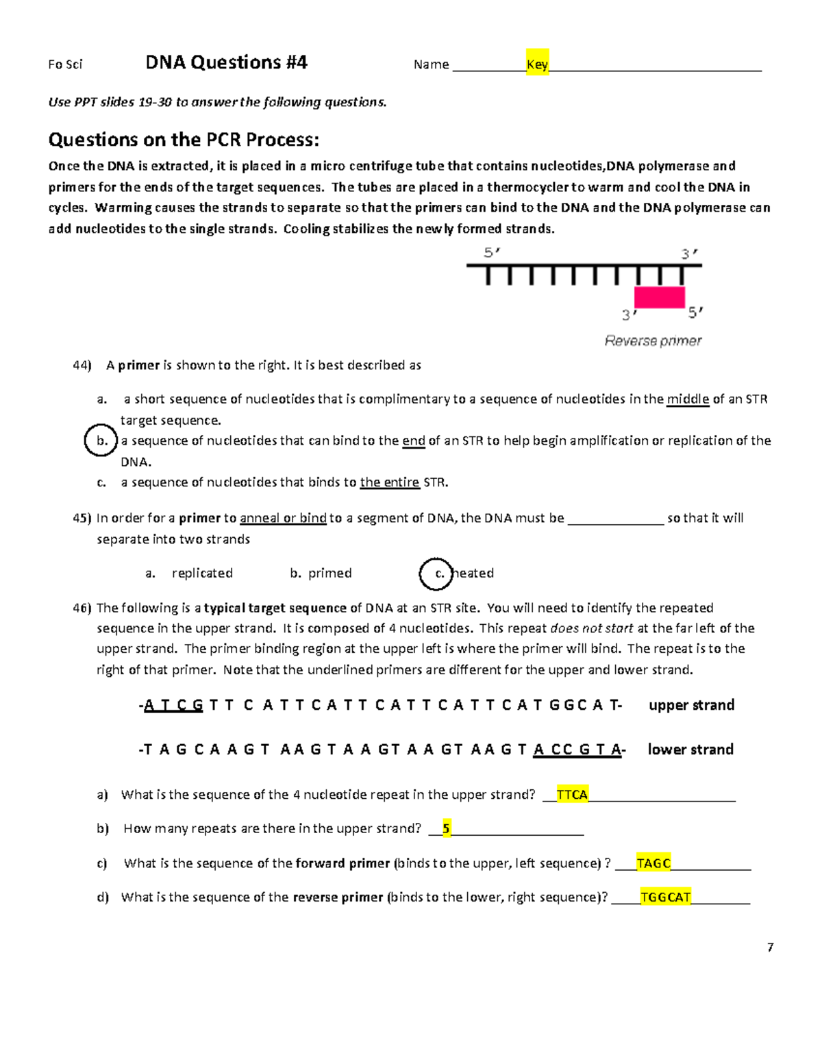Fo Sci DNA Questions 4-6 highlighted key 12 - Fo Sci DNA Questions # 4 Name Key ...
