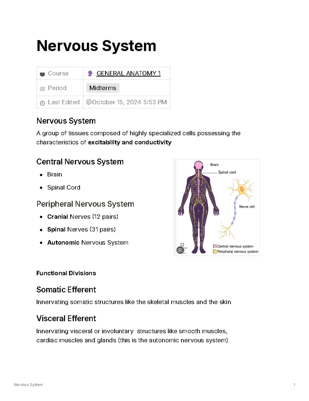 Nervous System - Lecture from General anatomy - Nervous System Course ...