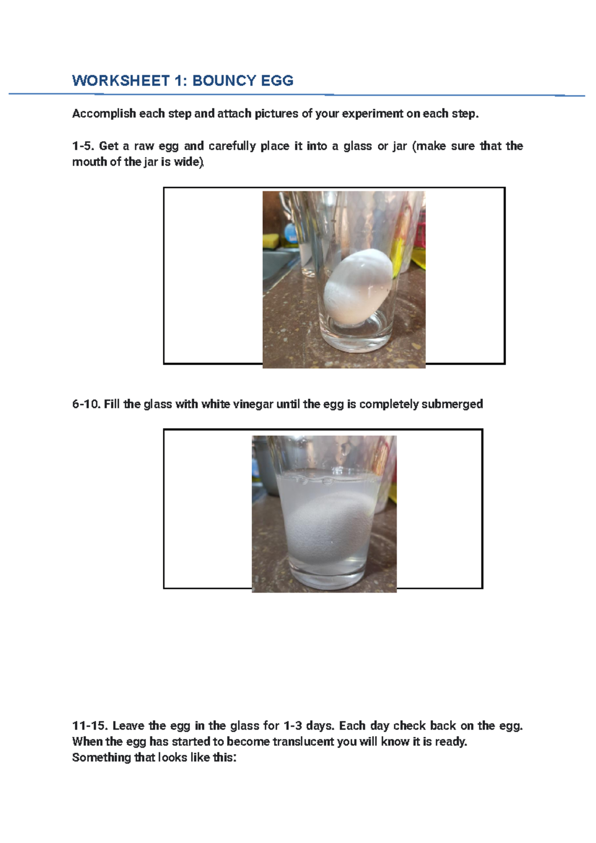 Biochem Worksheet 1 - Bouncy Egg activity - WORKSHEET 1: BOUNCY EGG ...