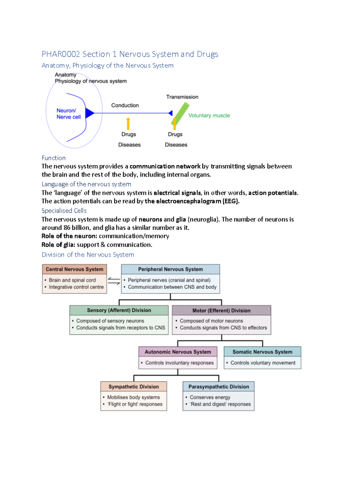 PHAR0002 Section 1 Nervous System and Drugs - Language of the nervous ...