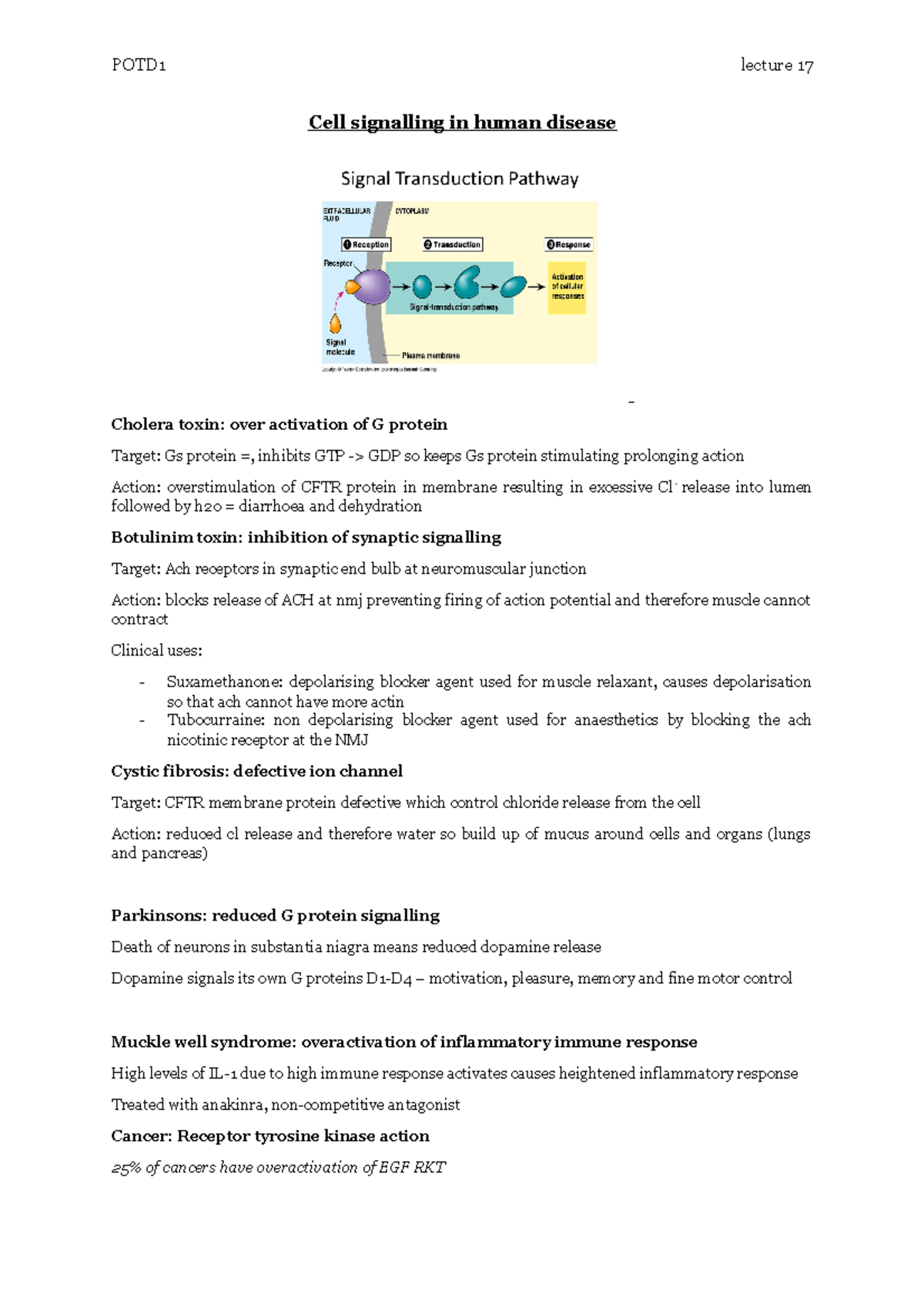 Cell signalling in human diseaselct 17 - POTD1 lecture 17 Cell ...