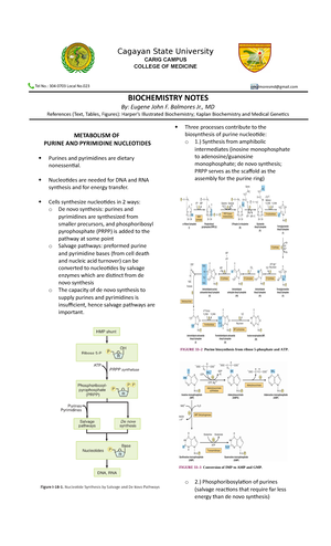 Biochemistry-28 - N/A - 8 Carbohydrates This chapter is concerned with ...