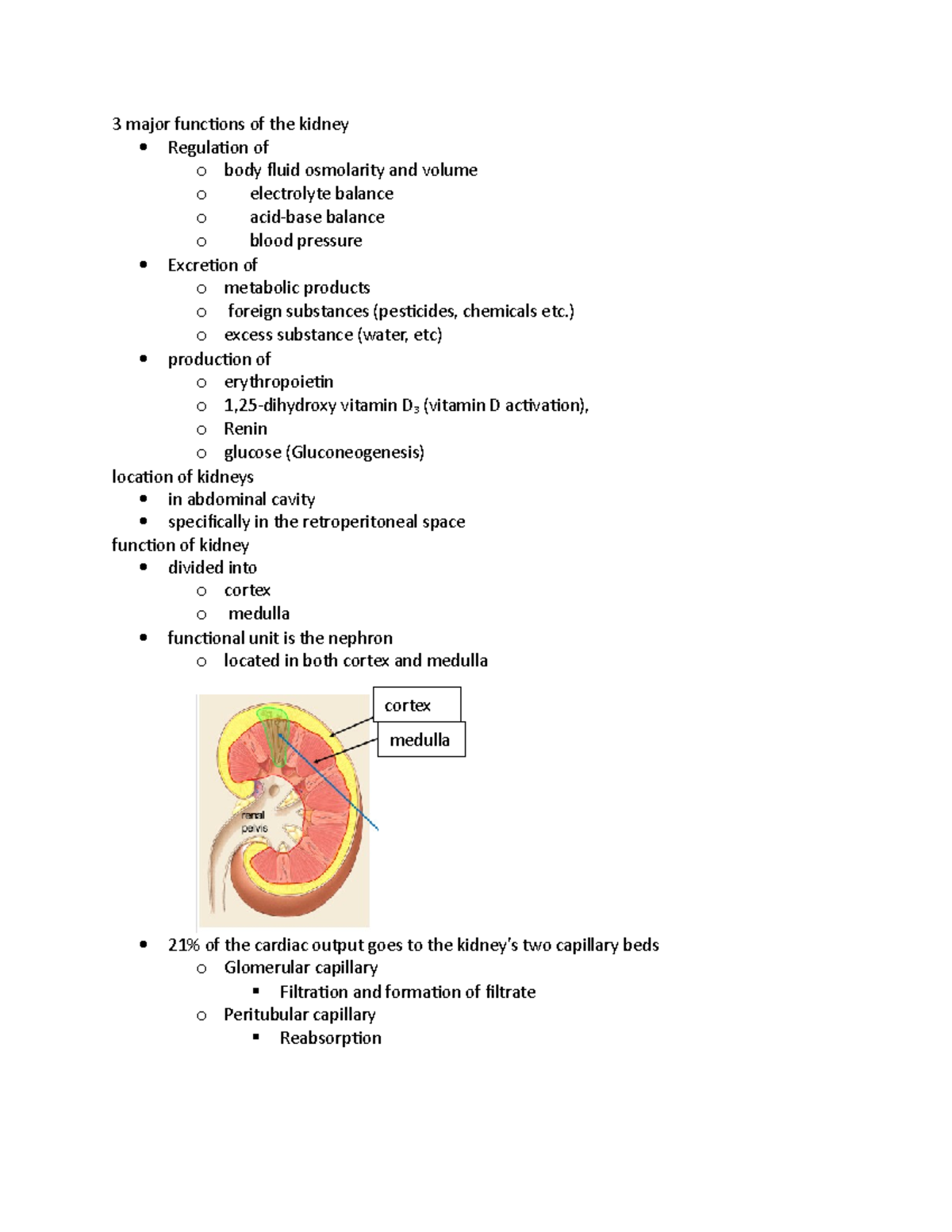 Renal part 1 - Personal lecture notes; original Professor Balddasare ...