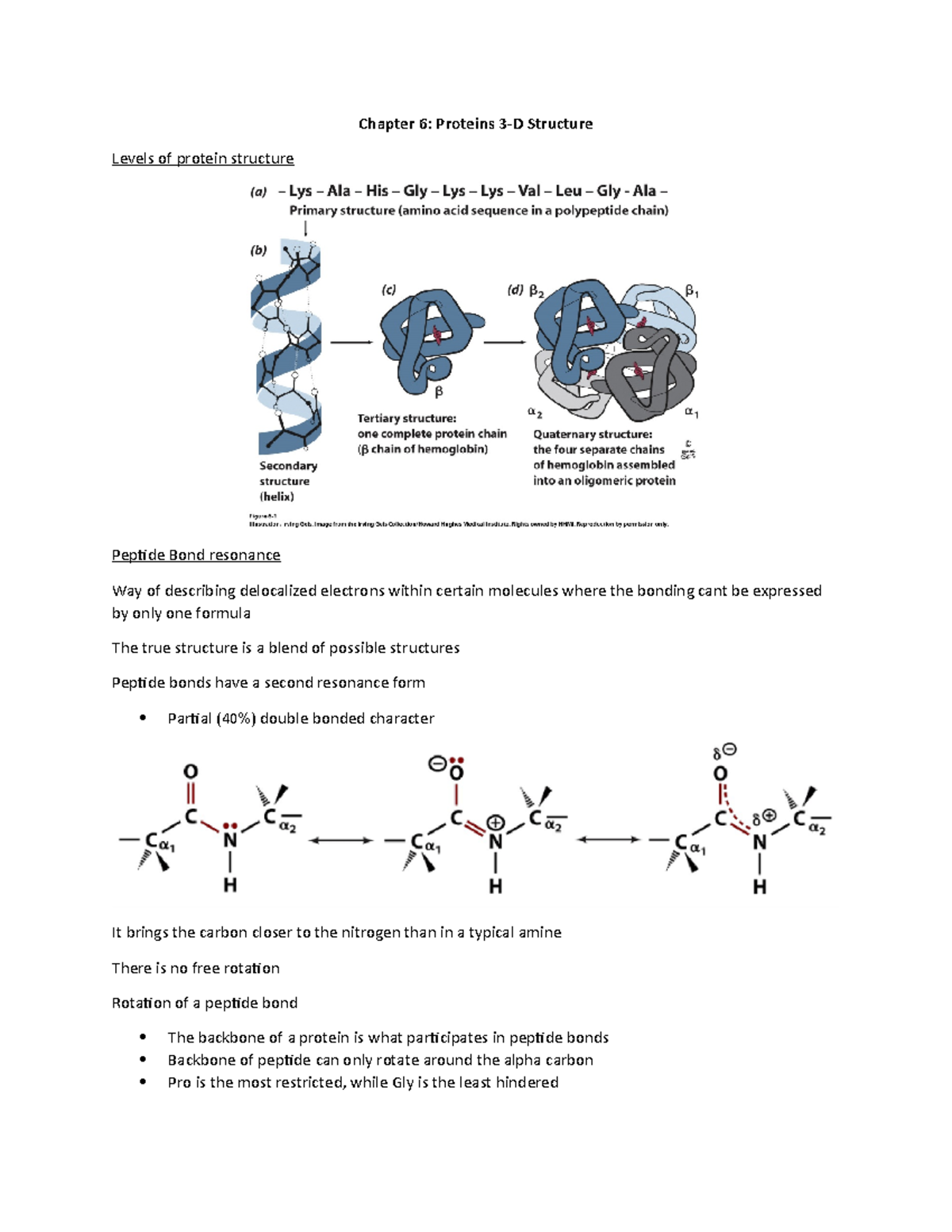 Chapter 6 Protein 3-D Shape - Chapter 6: Proteins 3-D Structure Levels ...