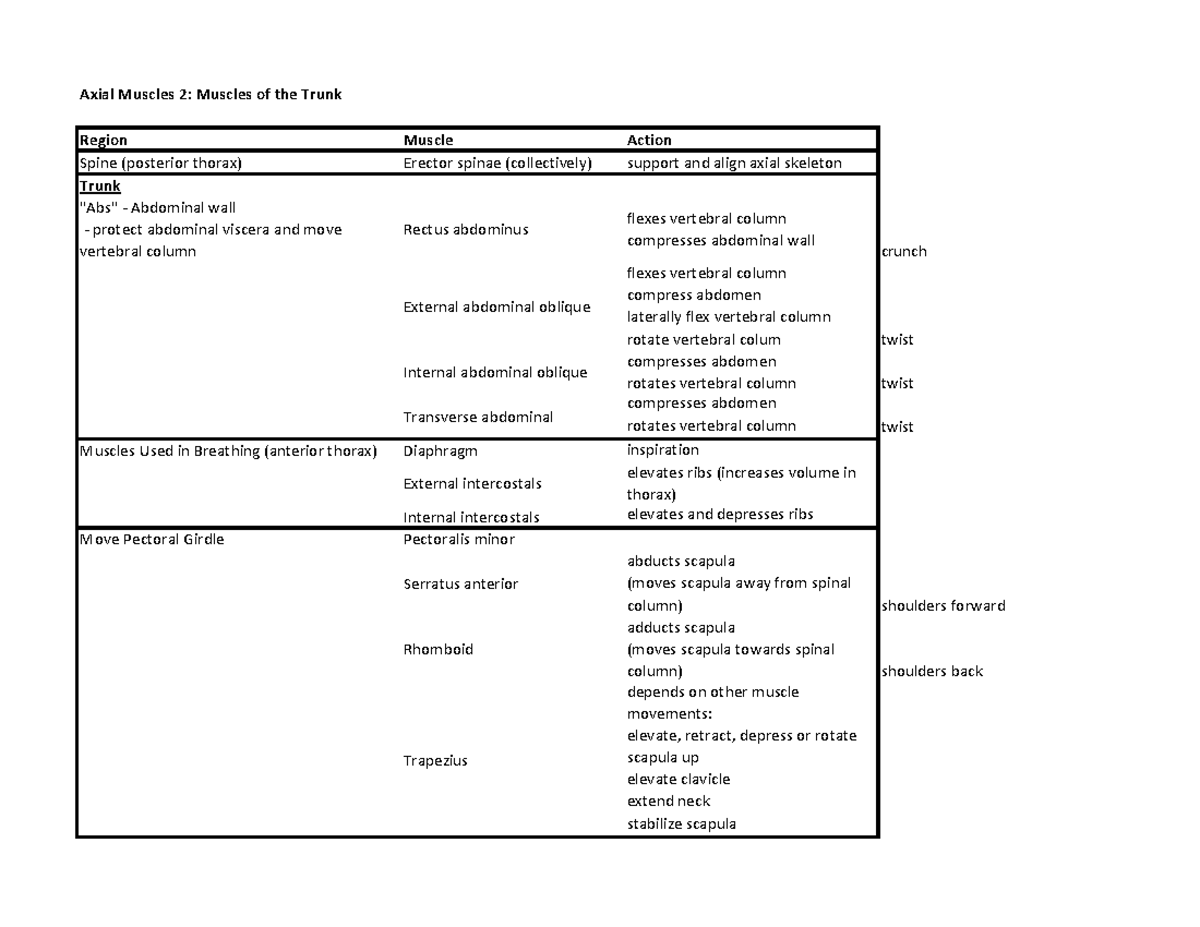 Muscles of the Trunk to Know - Axial Muscles 2: Muscles of the Trunk ...