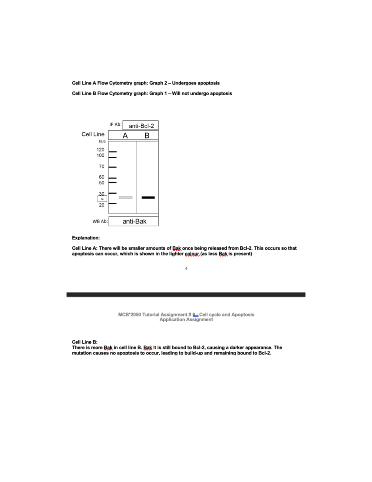 Tutorial 6 - MCB 2050 - MCB 2050 - Studocu