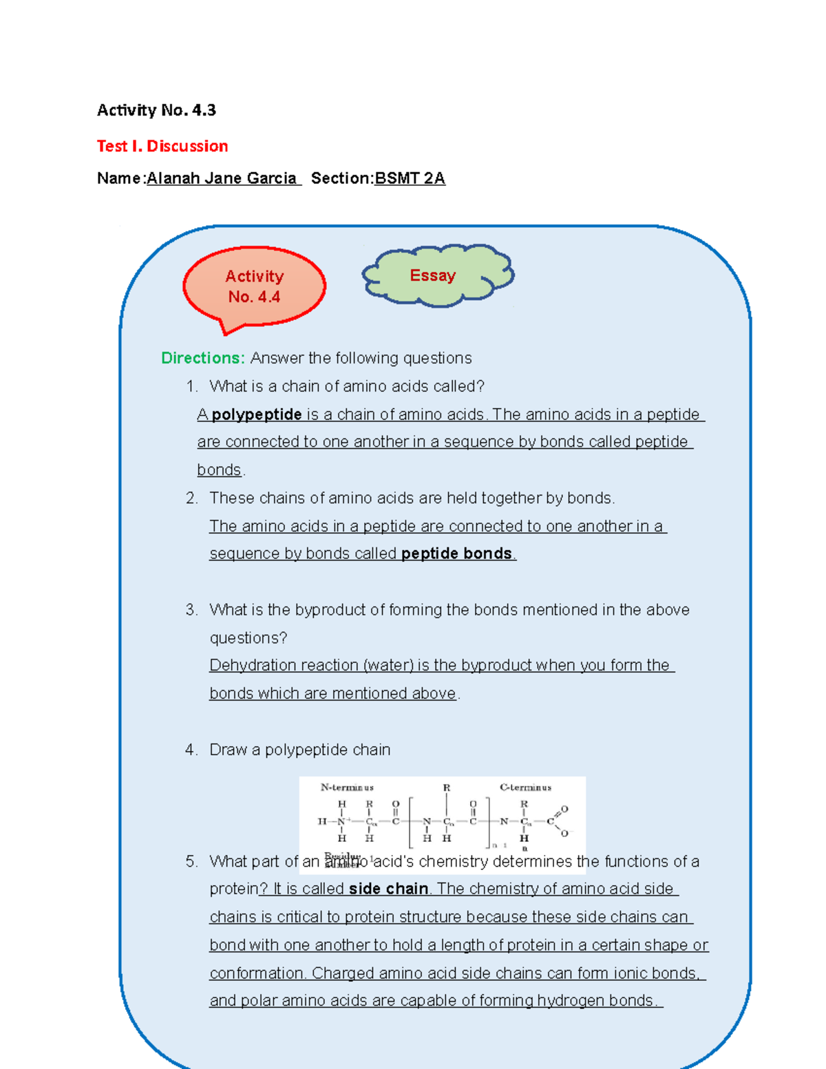 Activity No 4 3 Essay ANSWER SHEET Activity No 4 Test I Activity No 4 3 Essay ANSWER SHEET Activity No 4 Test I