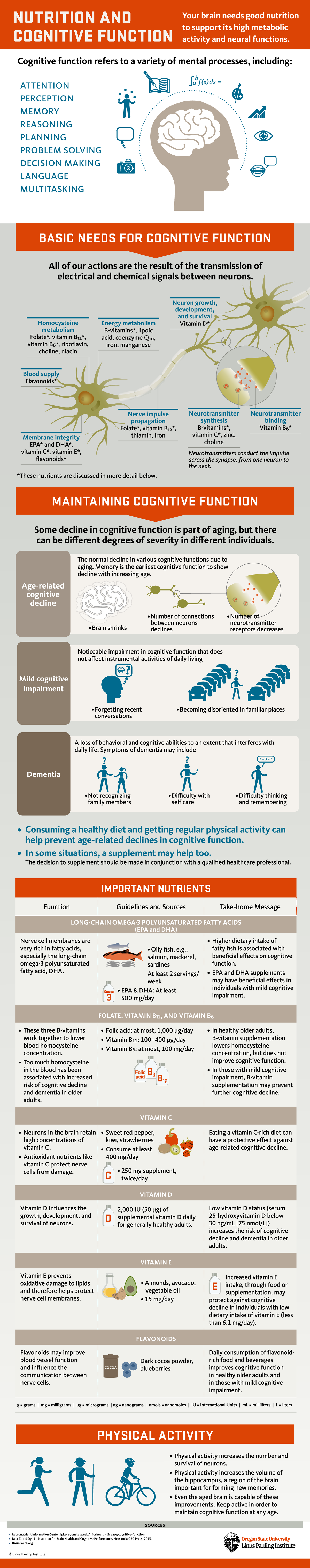 Lpi-cognition-infographic - Physical activity increases the number and ...
