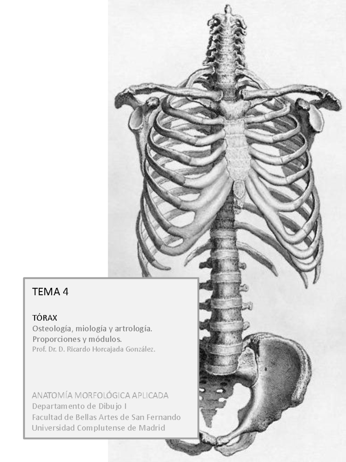 TEMA 4. Tórax - Resumen torax - TEMA 4 T”RAX OsteologÌa, miologÌa y ...