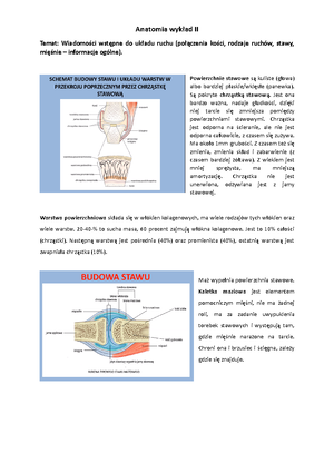 L1-układ ruchu - kości i stawy - 1. Kształt i rodzaje kości Kości ...