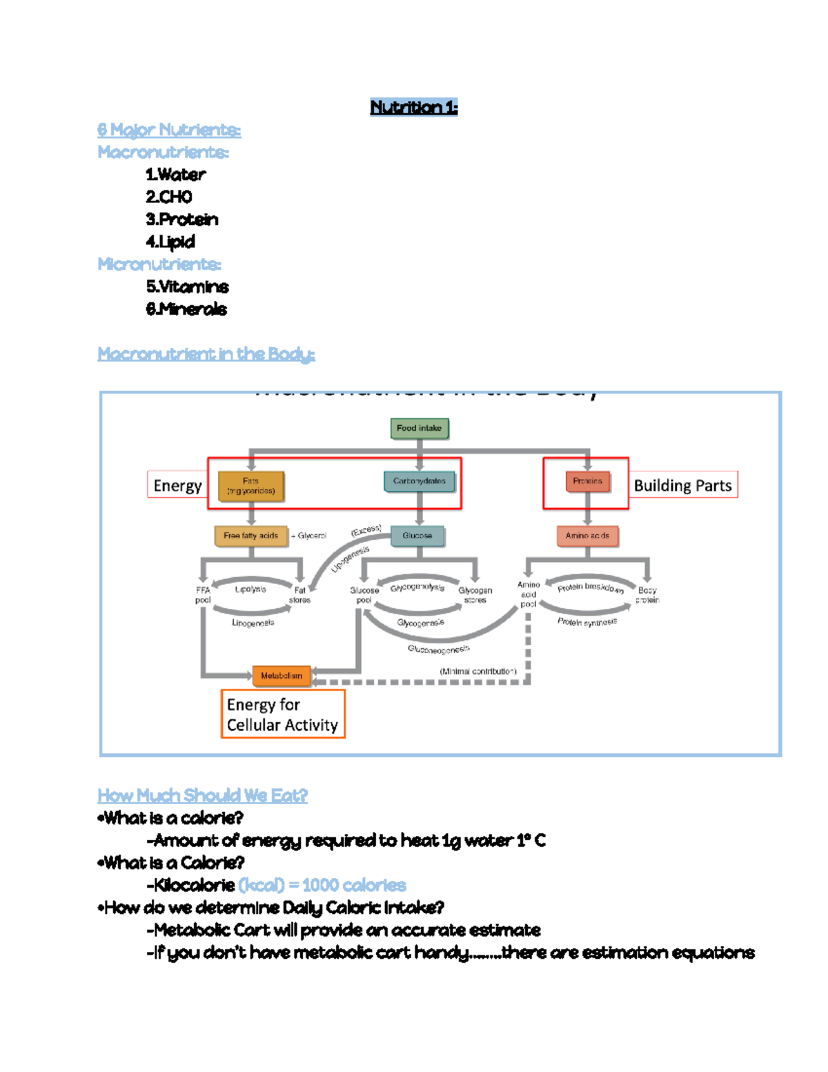Nutrition 1 notes - Nutrition 1: 6 Major Nutrients: Macronutrients: 1 2 ...