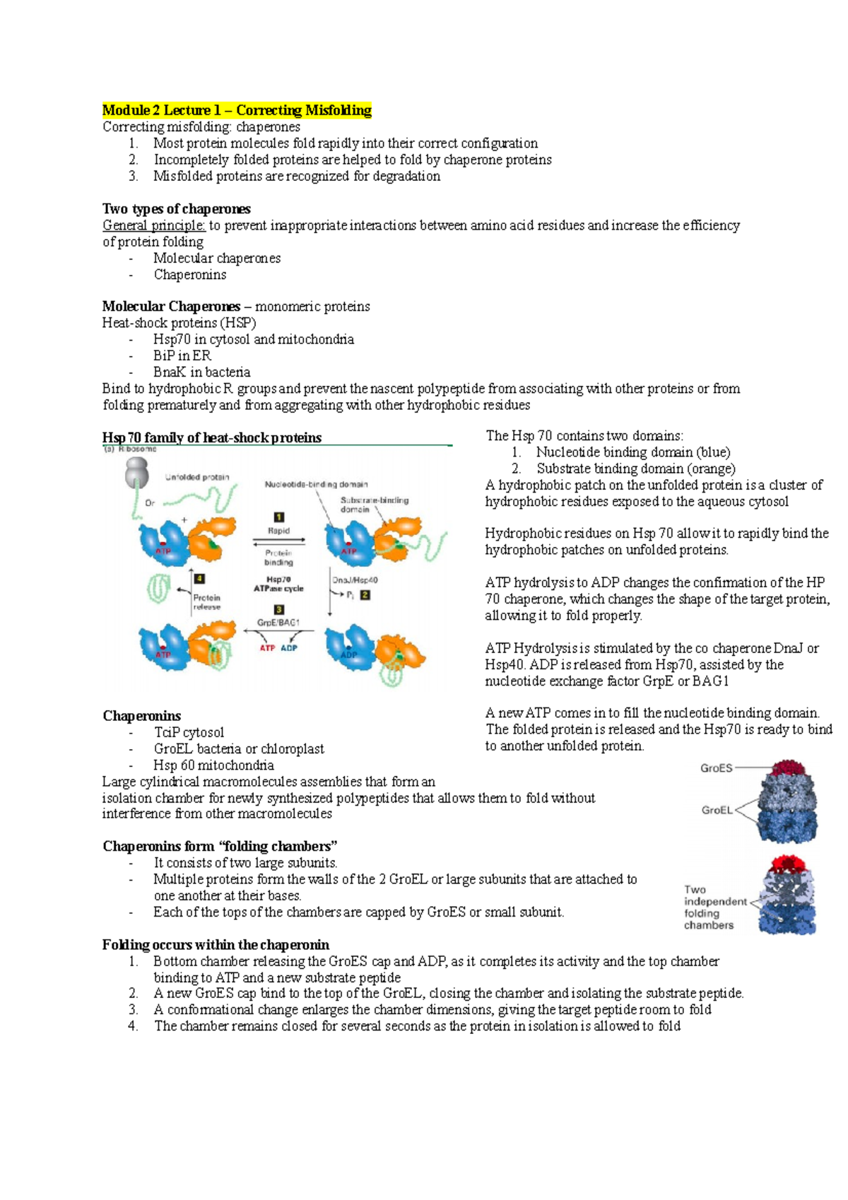 Bio 2b03 Week 2 Lecture Notes Module 2 Lecture 1 Correcting Misfolding Correcting 3449