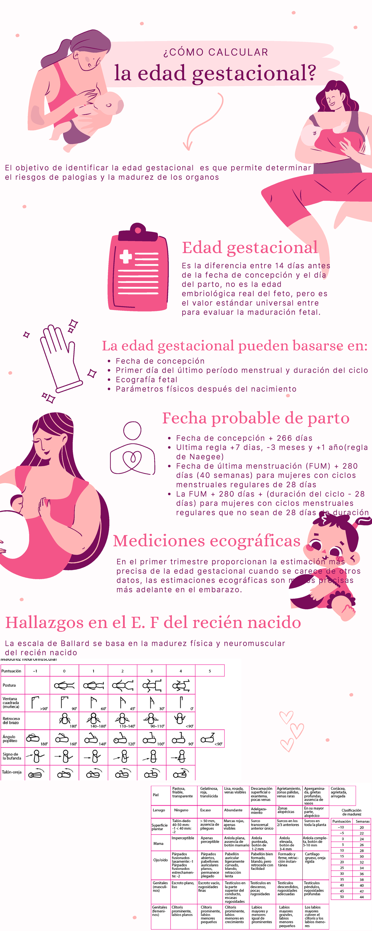 ¿Cómo calcular la edad gestacional - E l o b j e t i v o d e i d e n t ...