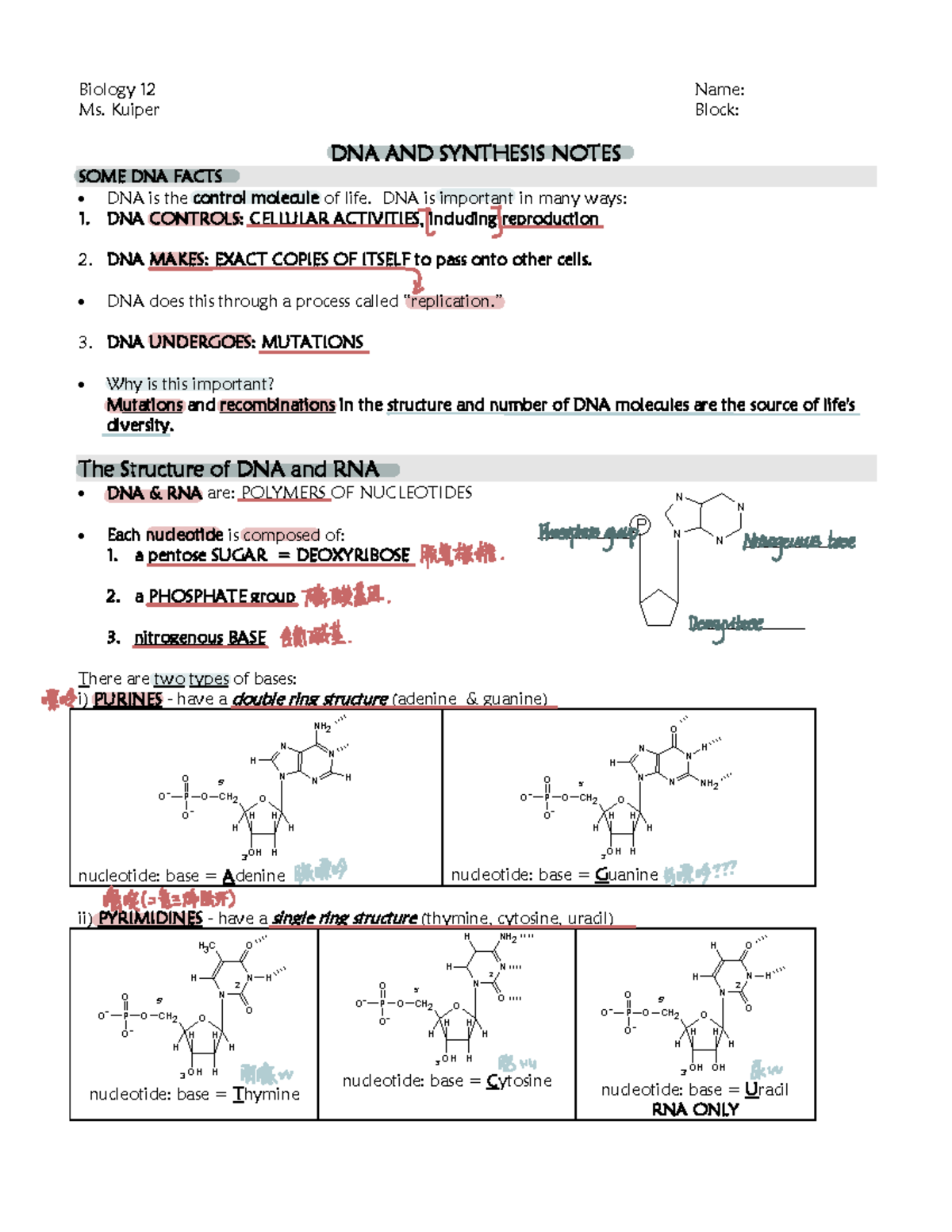 202011 28 DNA and Synthesis Notes - Biology 12 Name: Ms. Kuiper Block ...