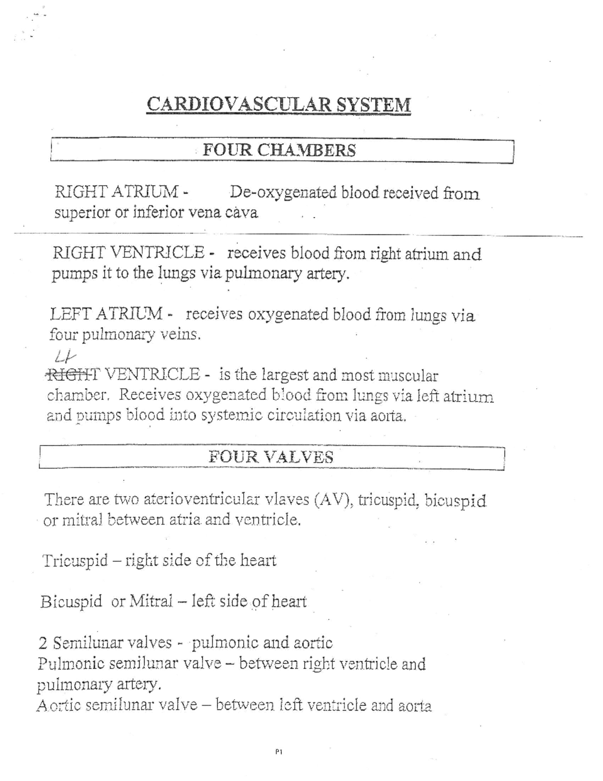 1 - Cardiovascular System - Nurs 112 - Studocu