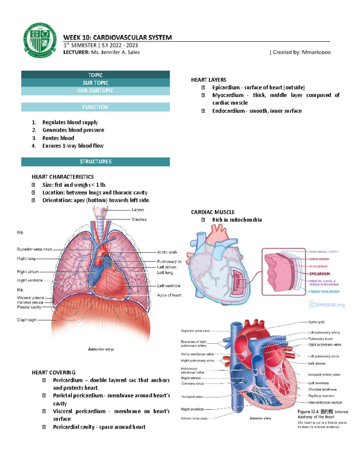 (W10) Cardiovascular System - TOPIC SUB TOPIC SUB-SUBTOPIC FUNCTION ...