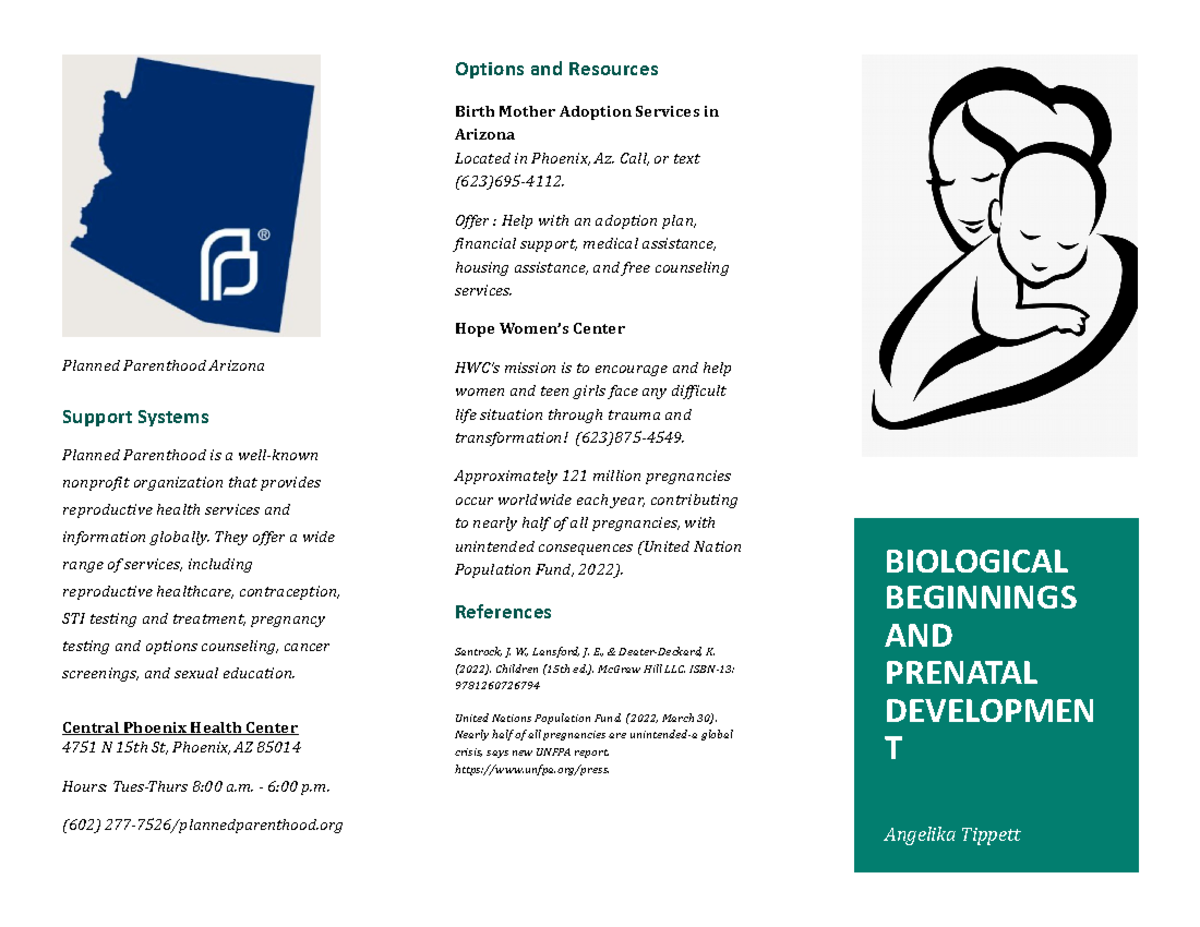Prenatal Development Brochure - Planned Parenthood Arizona Support ...