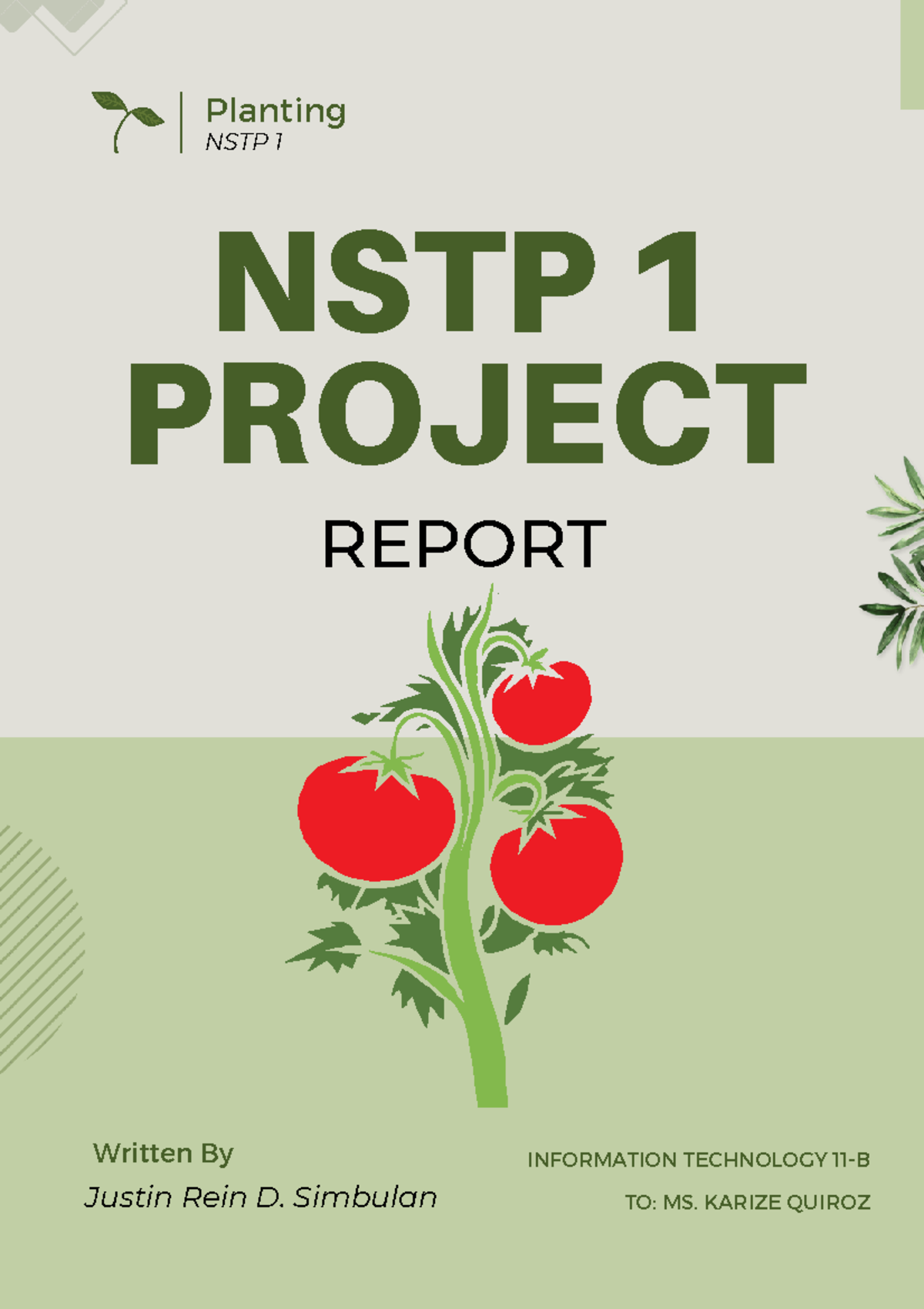 NSTP- Plant- Report - NSTP 1 PROJECT Planting Written By INFORMATION ...