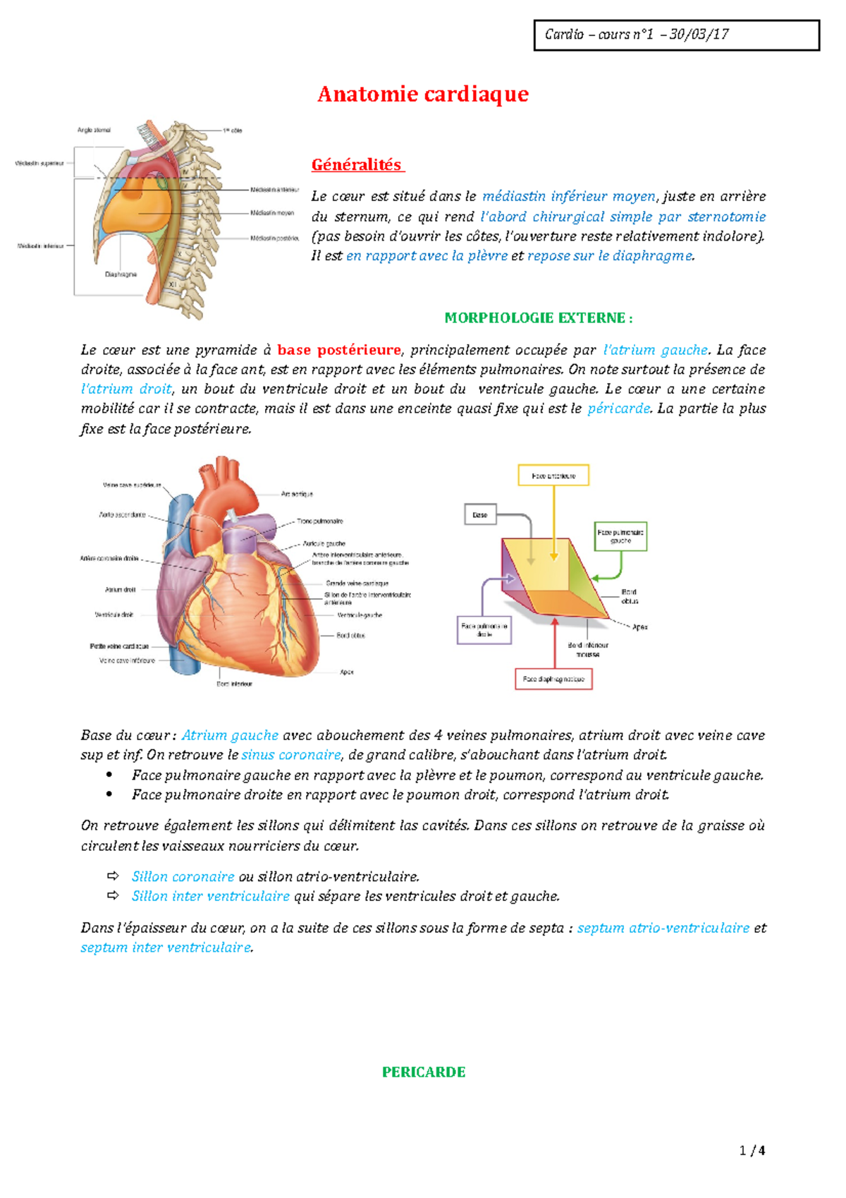 Rappel - Anatomie cardiaque - Anatomie cardiaque Généralités Le cœur ...