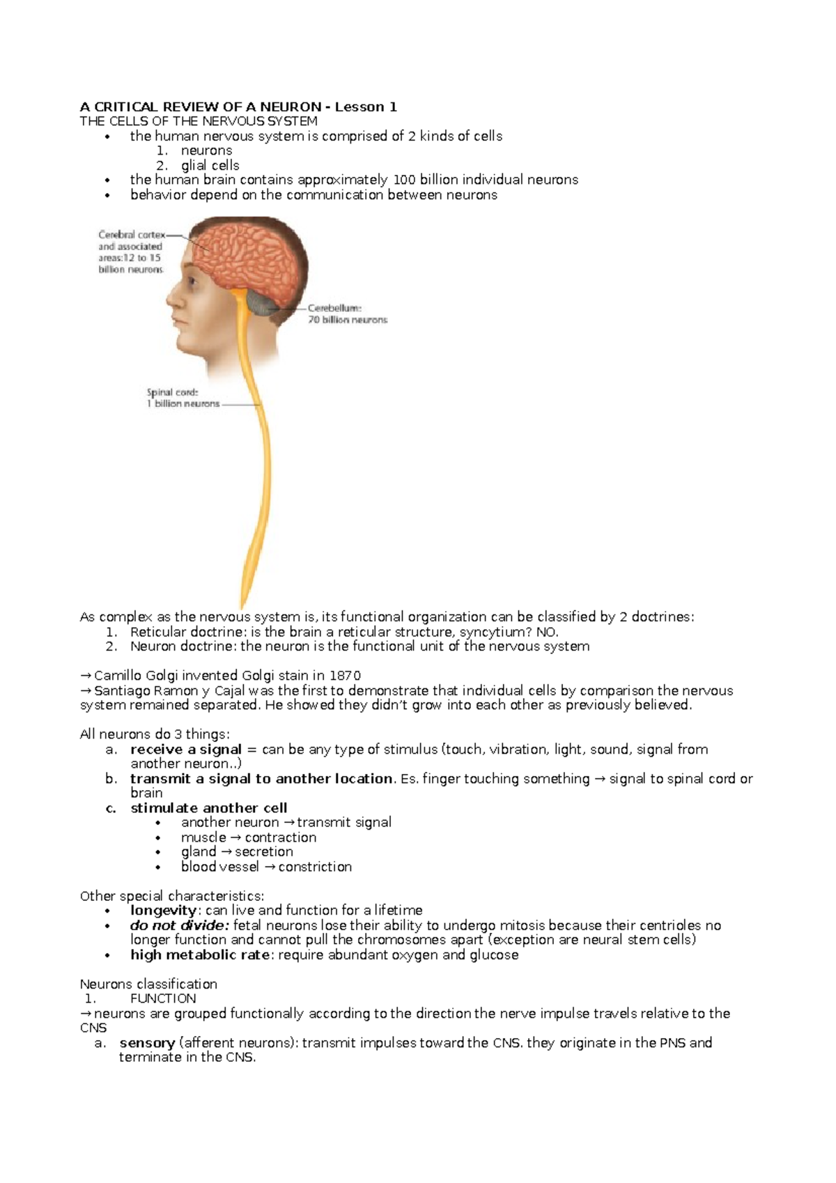 Lezione 1. A Critical Review OF A Neuron - A CRITICAL REVIEW OF A ...